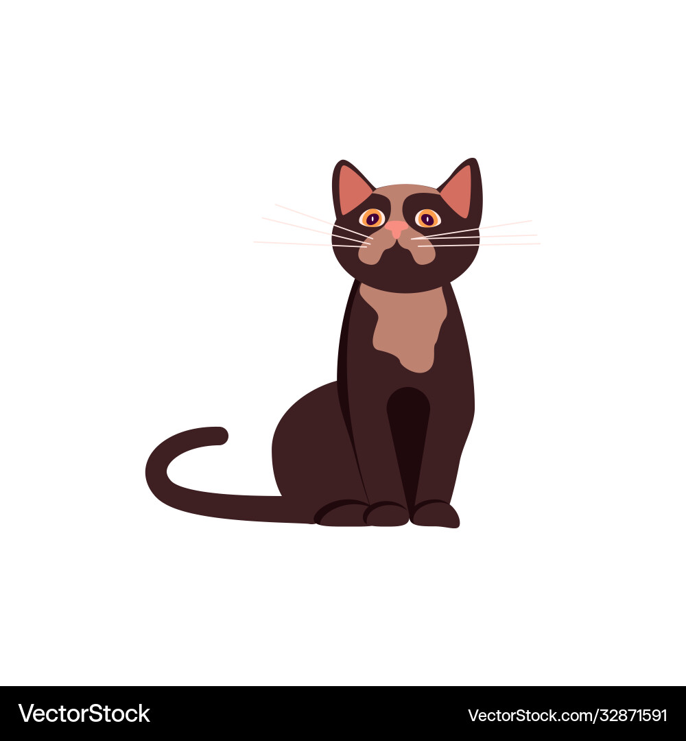 Funny brown cat Royalty Free Vector Image - VectorStock