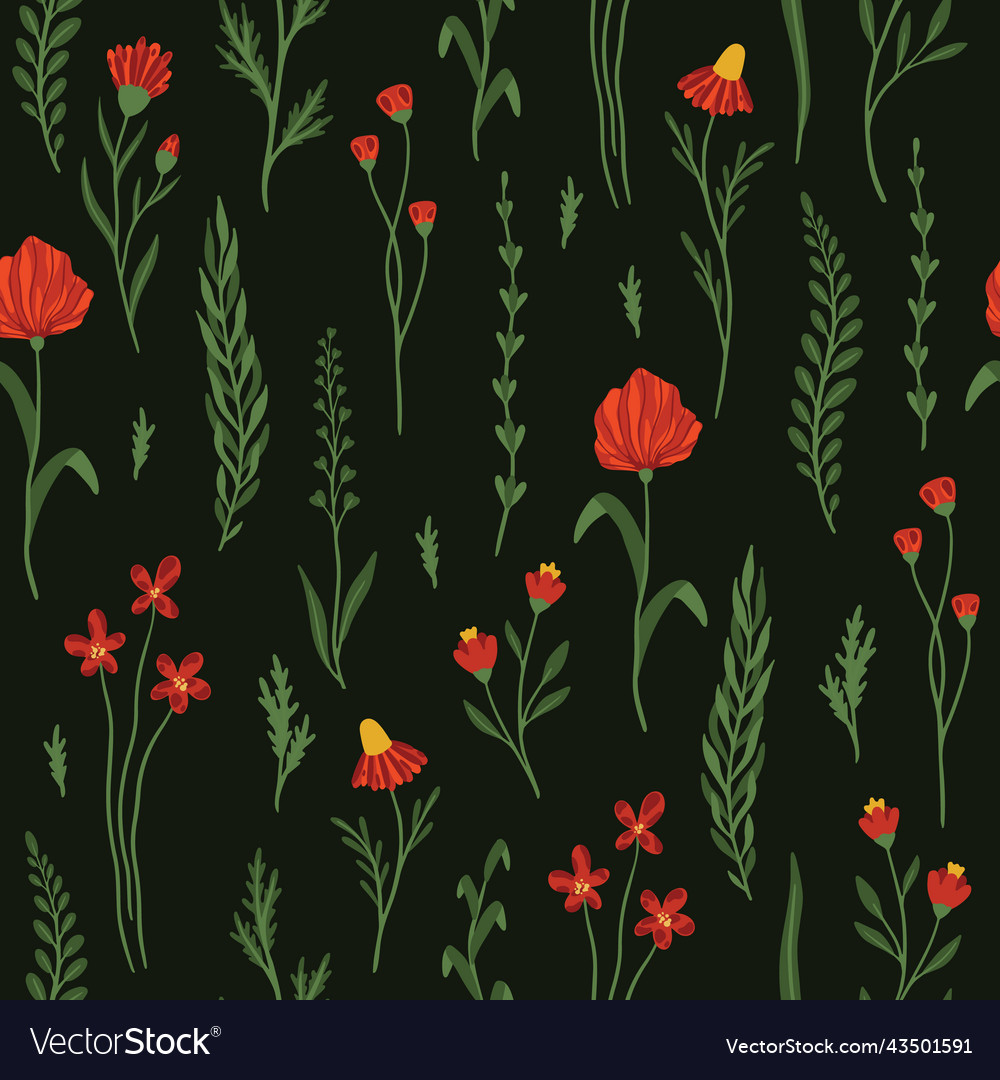 Seamless pattern with red poppy flowers design Vector Image