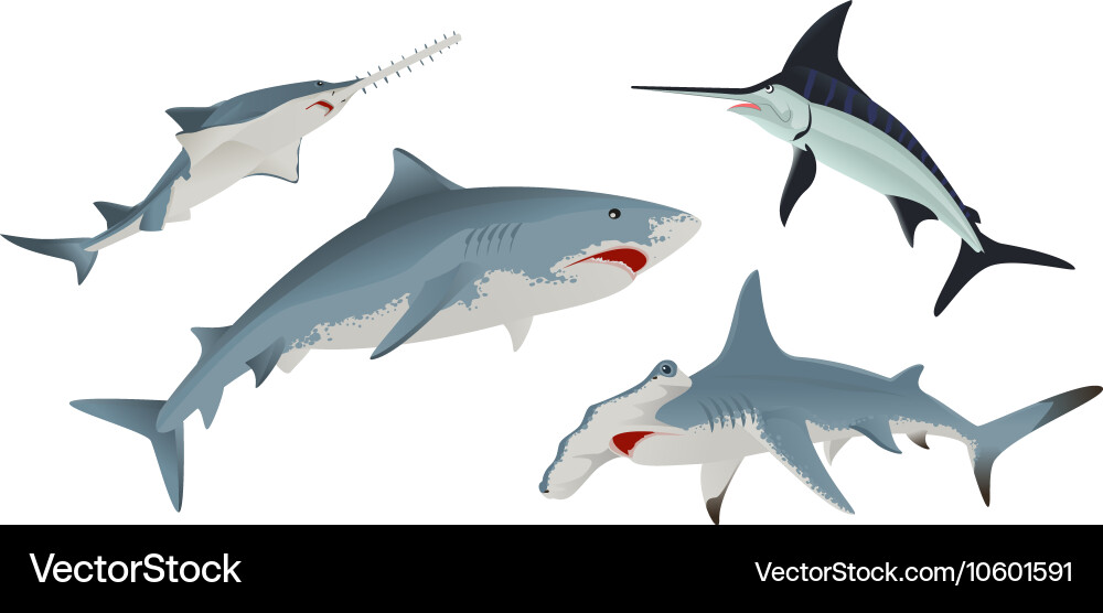 Set fish sea animal Royalty Free Vector Image - VectorStock