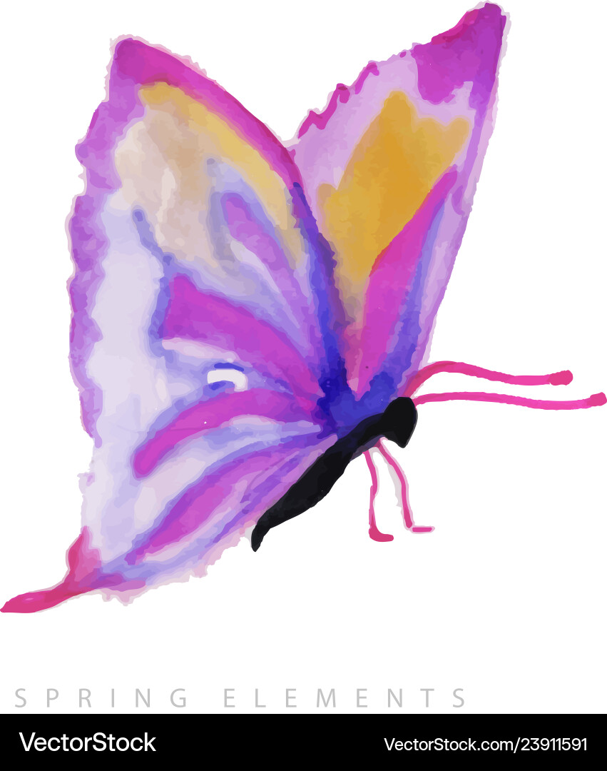 Watercolor spring butterfly collection Royalty Free Vector