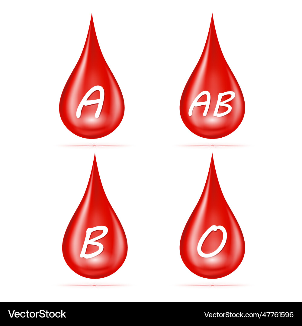 Blood type or blood group a b ab o Royalty Free Vector Image
