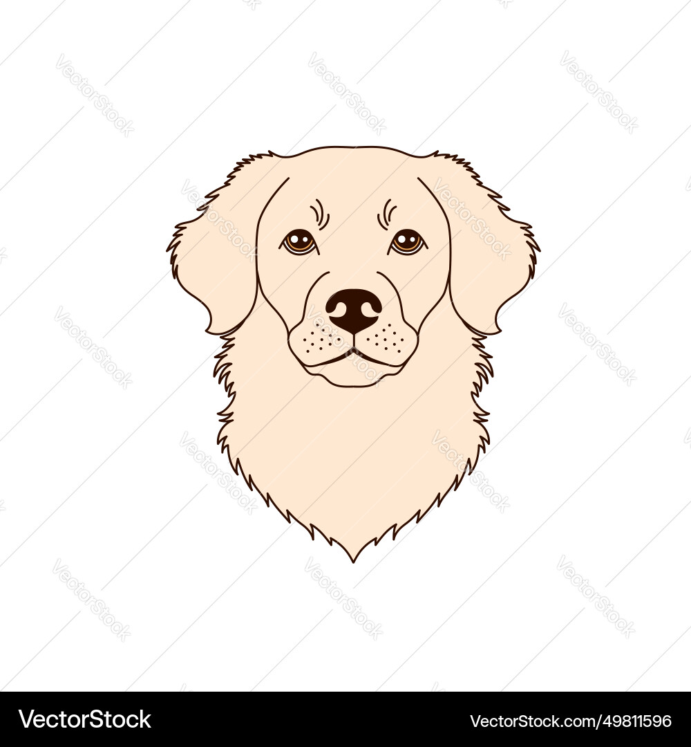 Retriever dog icon in linear flat style on white Vector Image