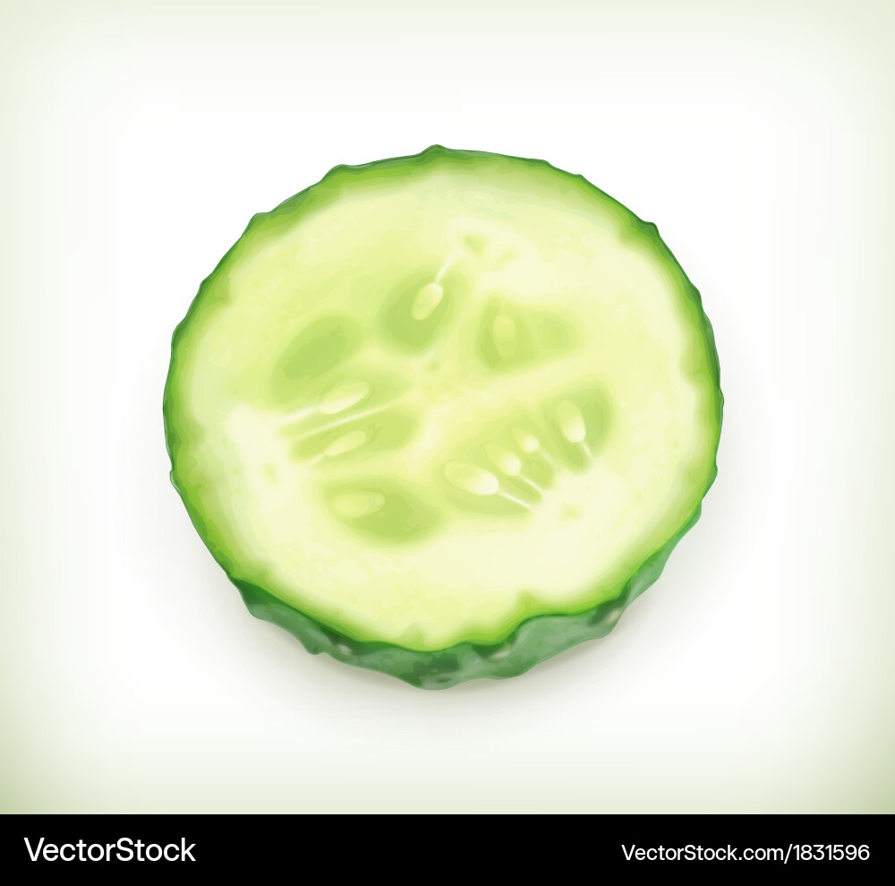 Slice cucumber Royalty Free Vector Image - VectorStock