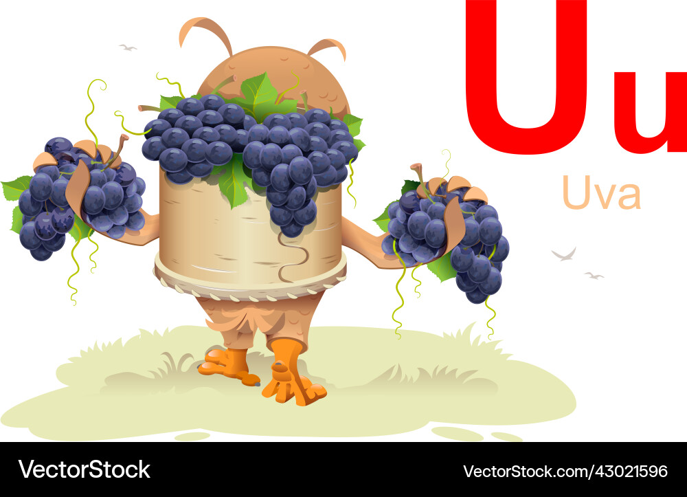 Spanish alphabet education abc order letter u Vector Image