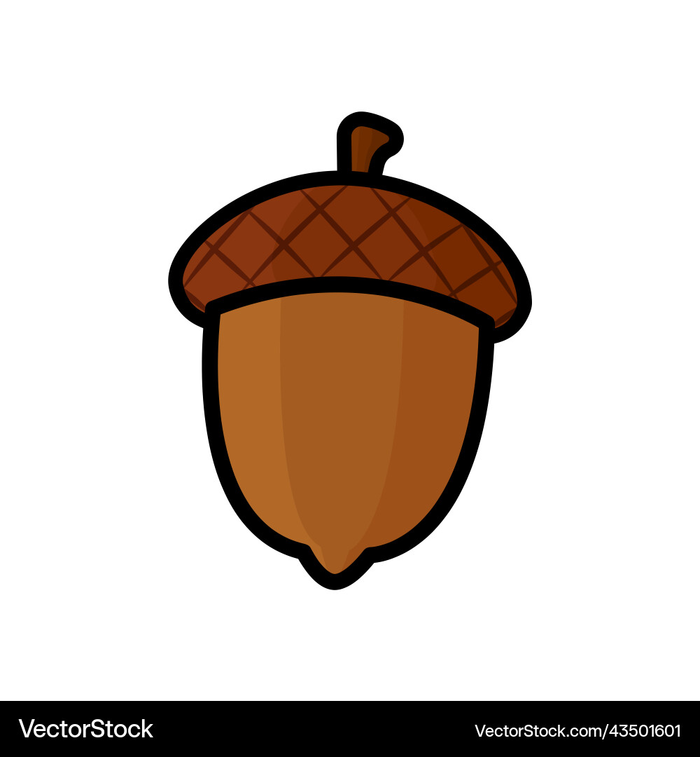 Acorn oak nut autumn season Royalty Free Vector Image