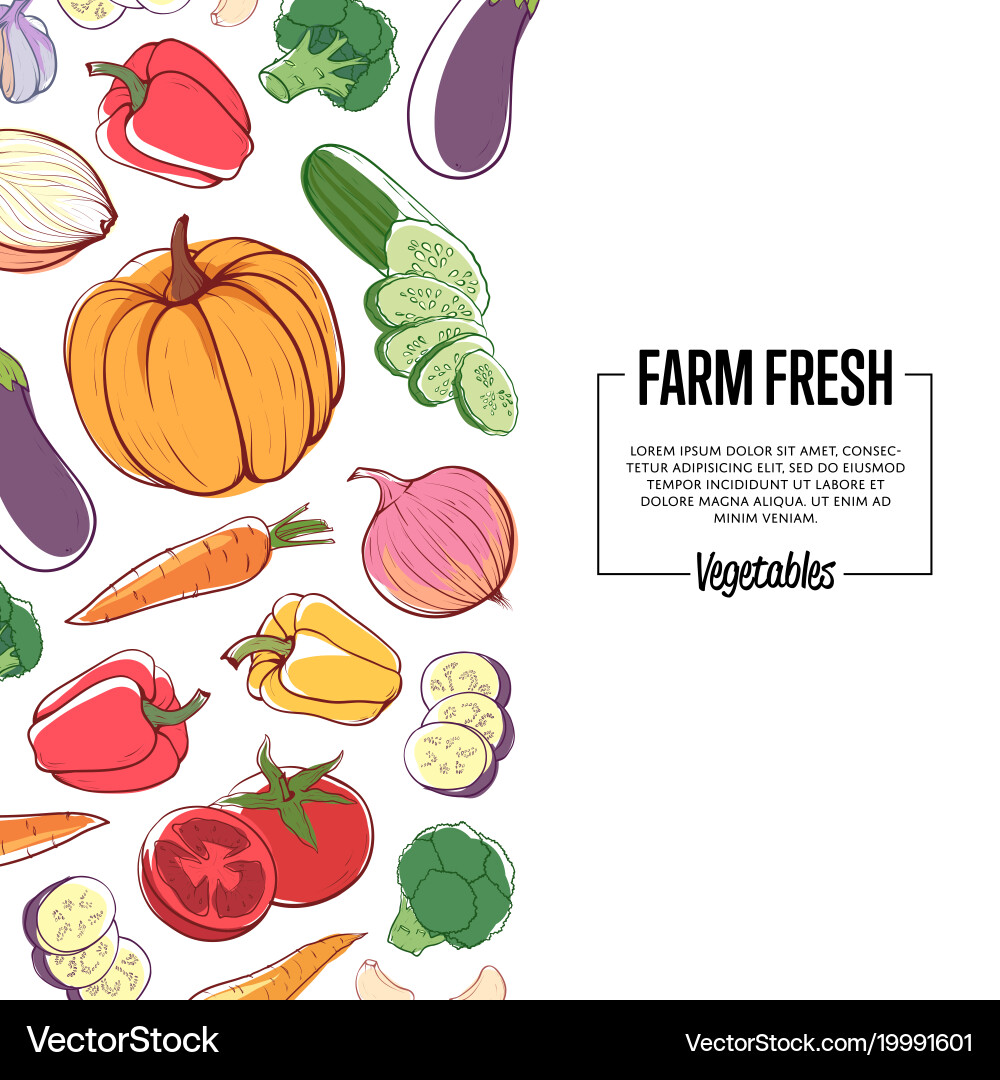 Farm fresh banner with ripe vegetables Royalty Free Vector
