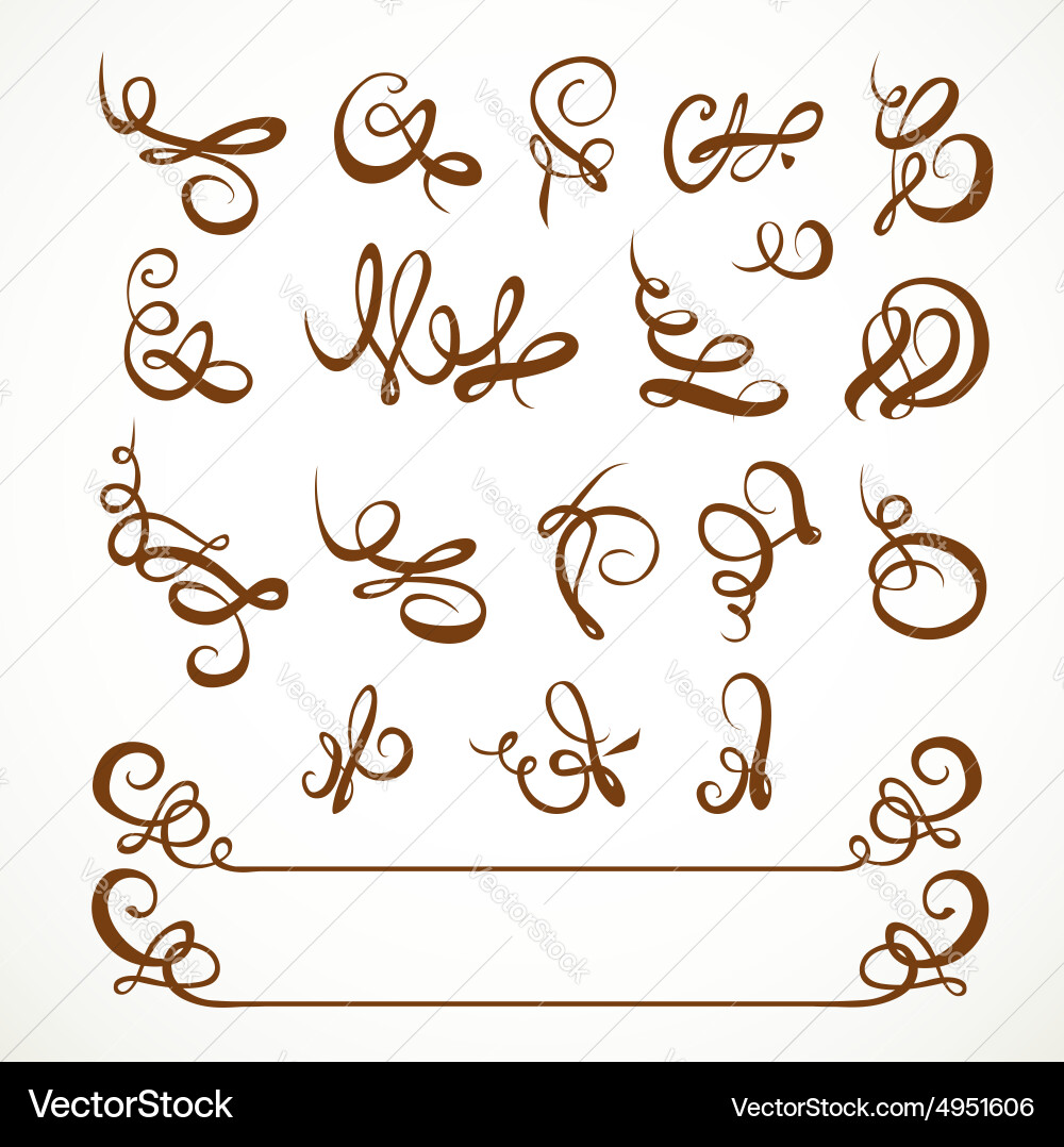 Decorative calligraphic flourishes on a white Vector Image