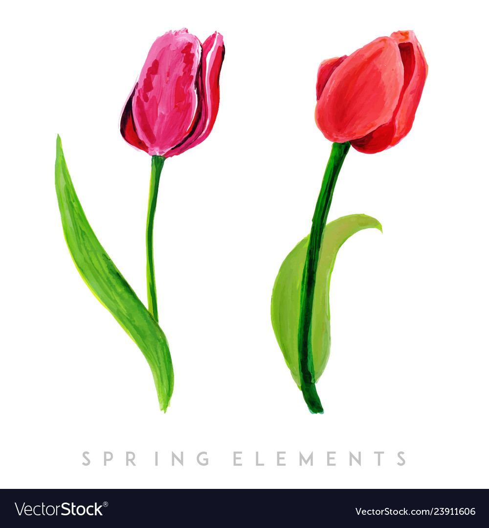 Watercolor spring floral collection Royalty Free Vector