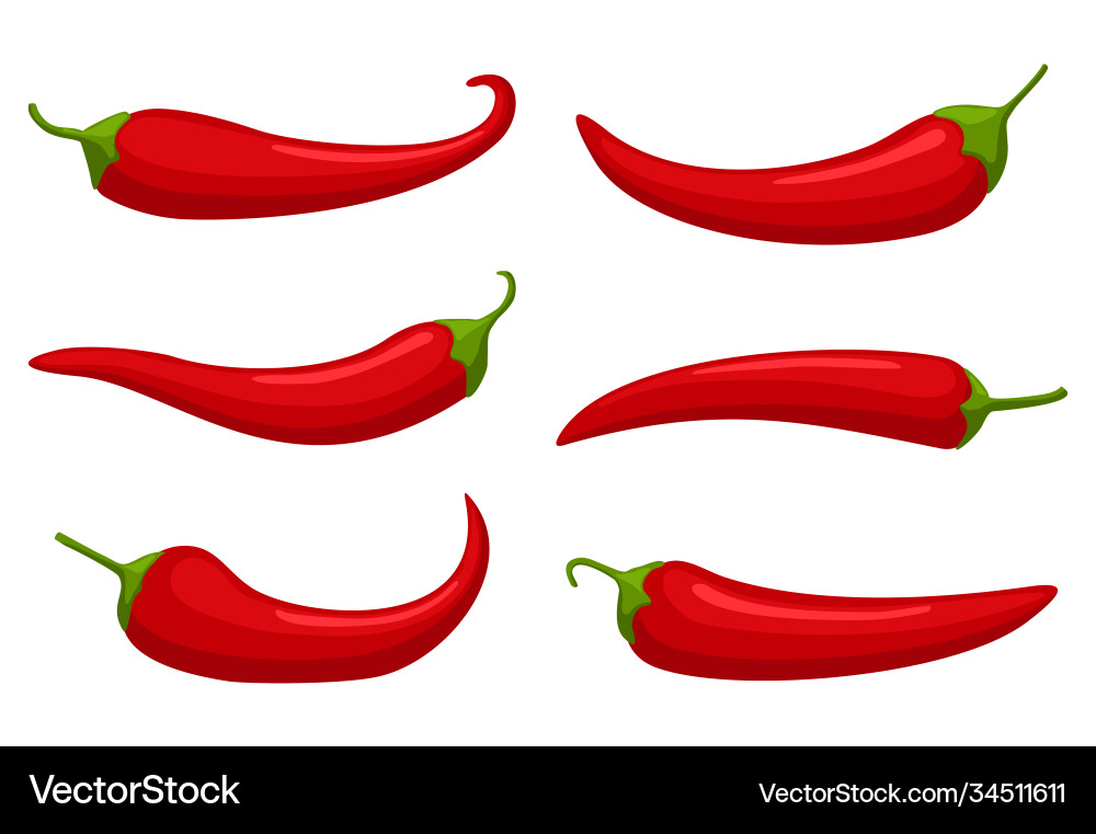 Hot red chilly peppers set isolated on white Vector Image