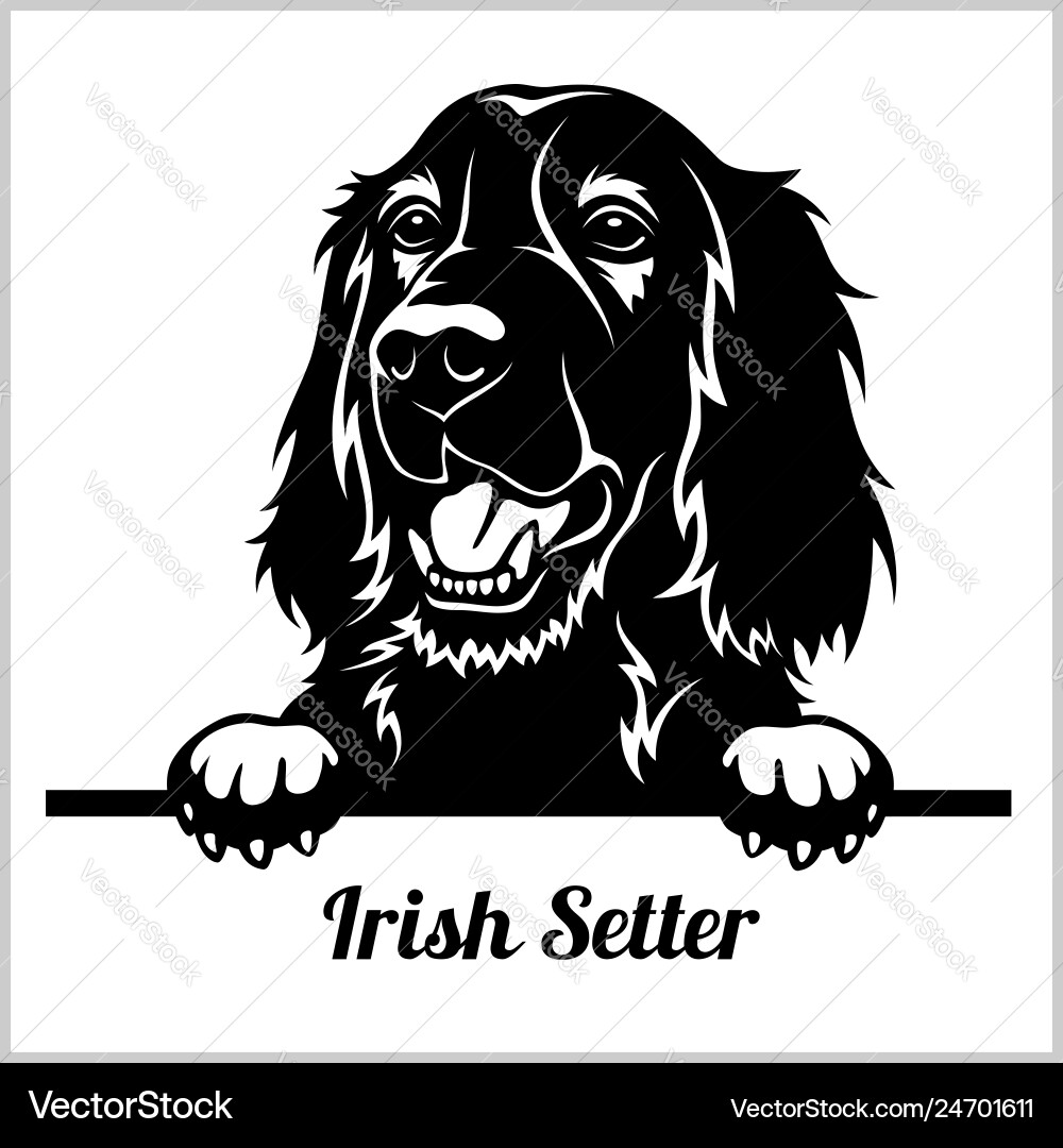 Irish setter - peeking dogs breed face head Vector Image