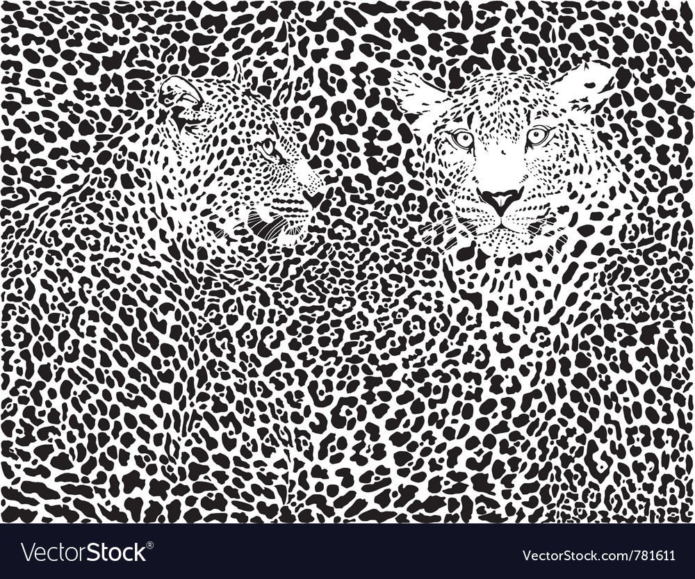 Leopard pattern background Royalty Free Vector Image