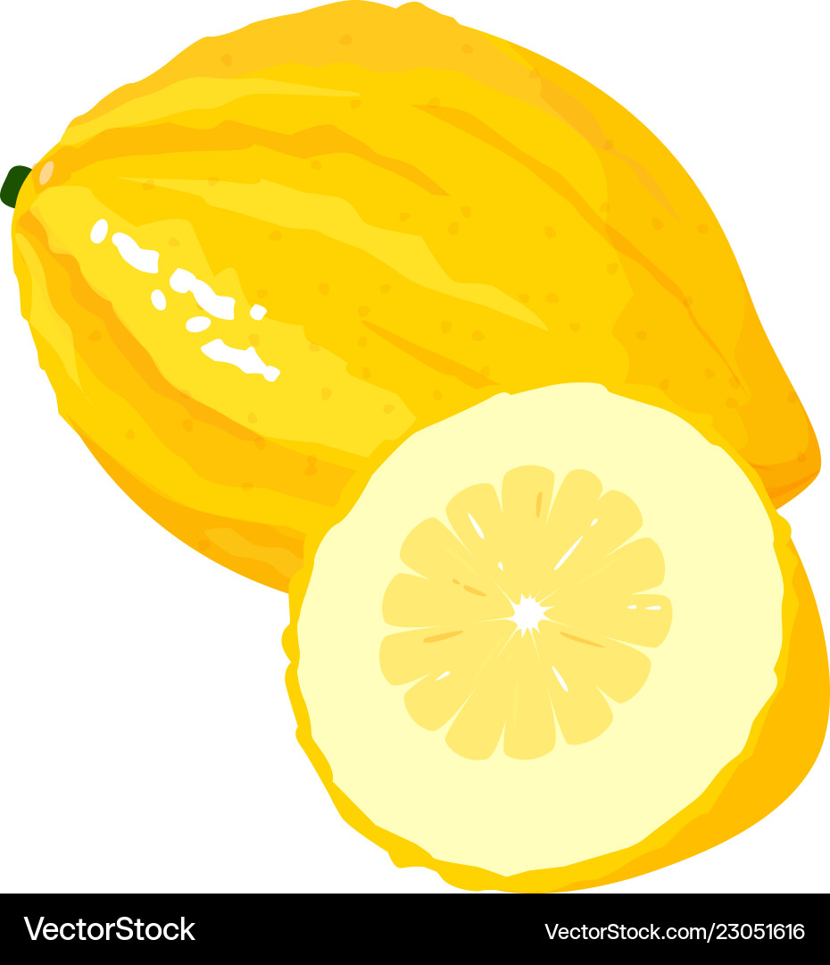 Cartoon fresh citron isolated on white background Vector Image