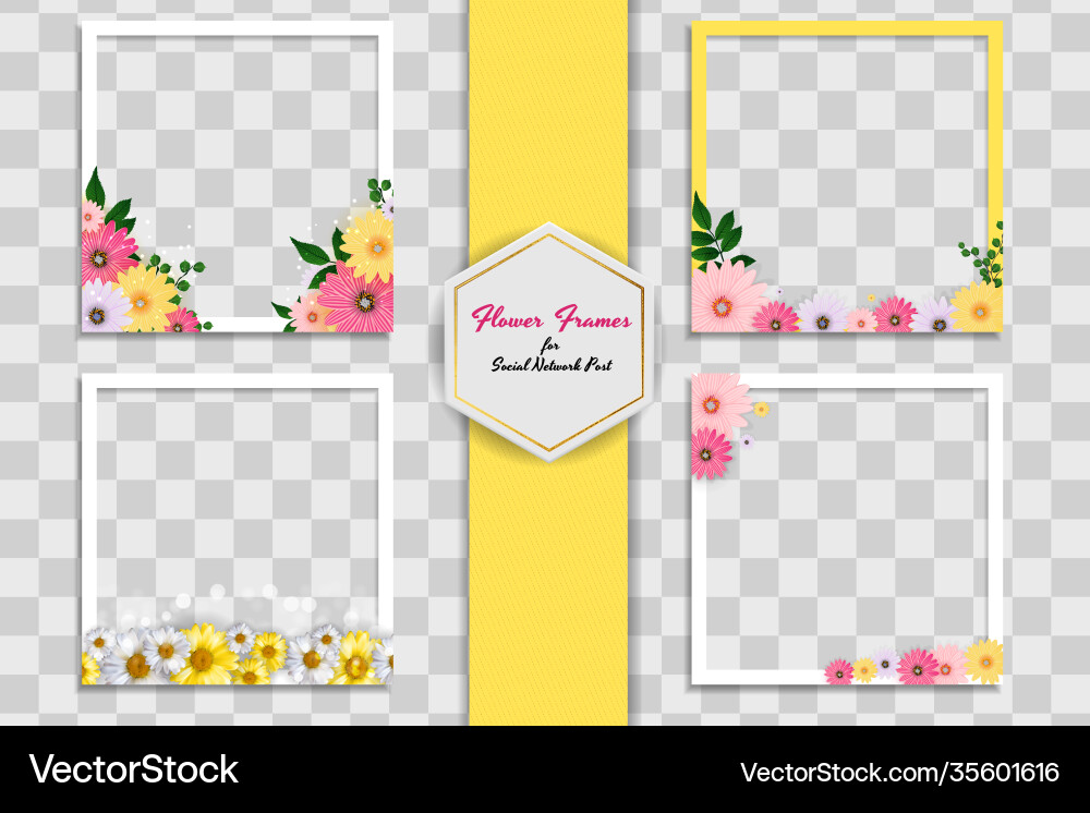 Empty photo frame template with spring flowers Vector Image
