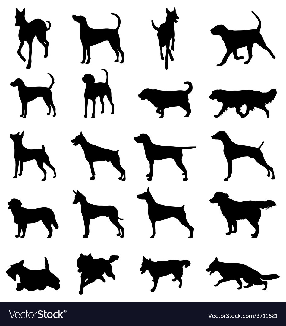 Dogs 2 Royalty Free Vector Image - VectorStock