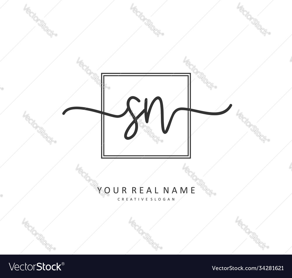 S n sn initial letter handwriting and signature Vector Image