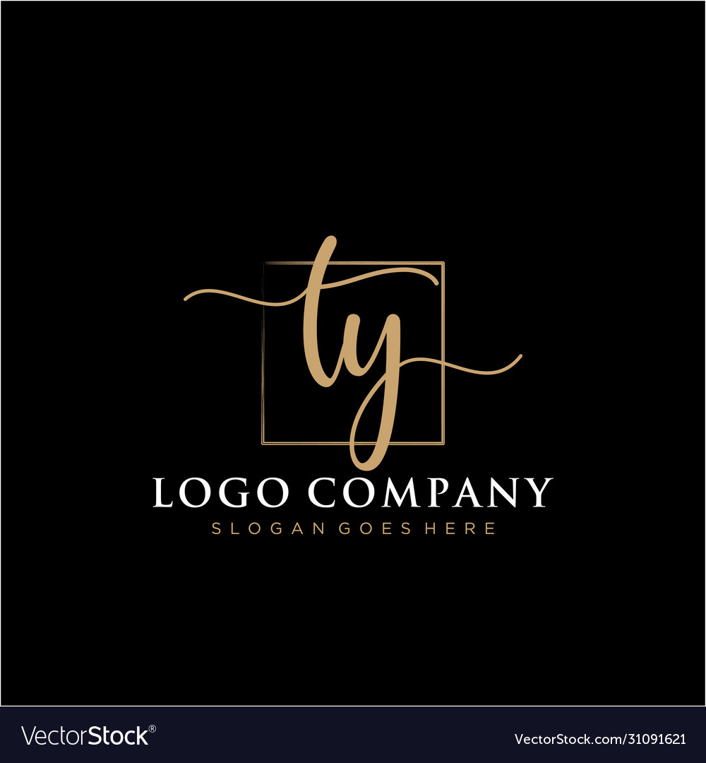 Ty initial handwriting logo with rectangle Vector Image
