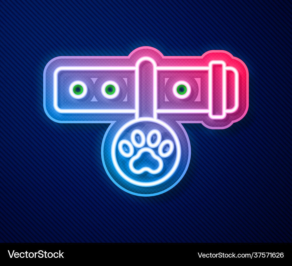 Glowing neon line collar with name tag icon Vector Image