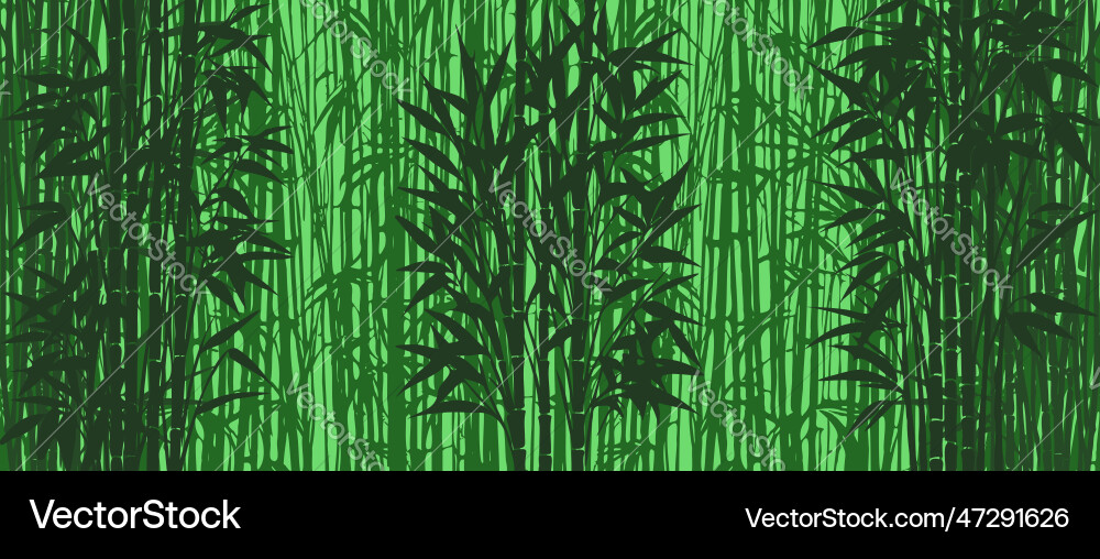 Graphic dense green bamboo forest natural wide Vector Image