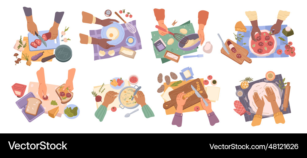 Hands cooking food preparing tasty dinner Vector Image