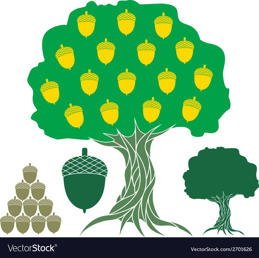 Oak Royalty Free Vector Image - VectorStock