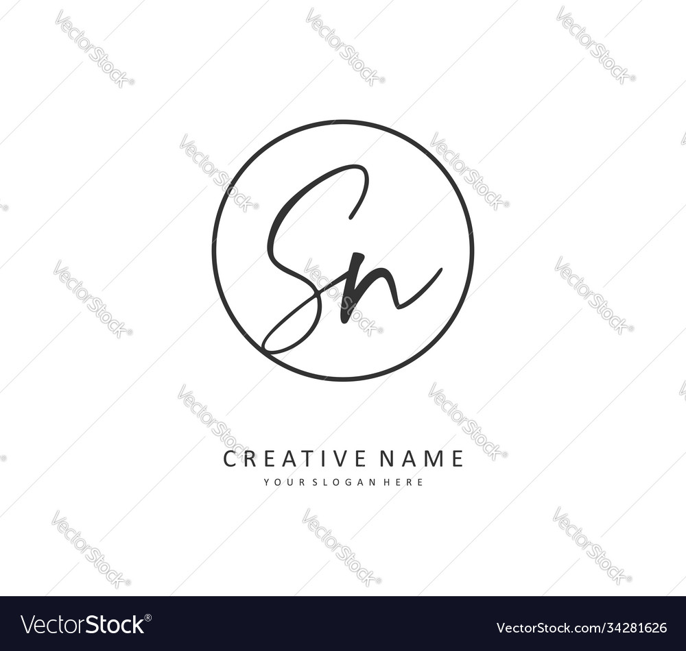 S n sn initial letter handwriting and signature Vector Image