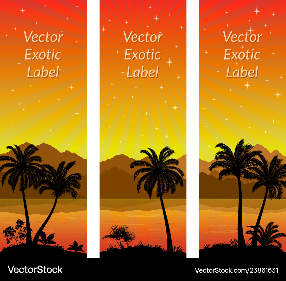 Labels with palms Royalty Free Vector Image - VectorStock