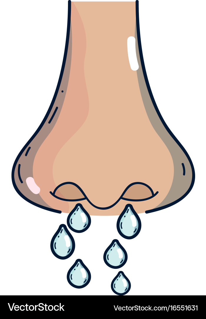 Nose with rhinitis allergic sickness virus Vector Image