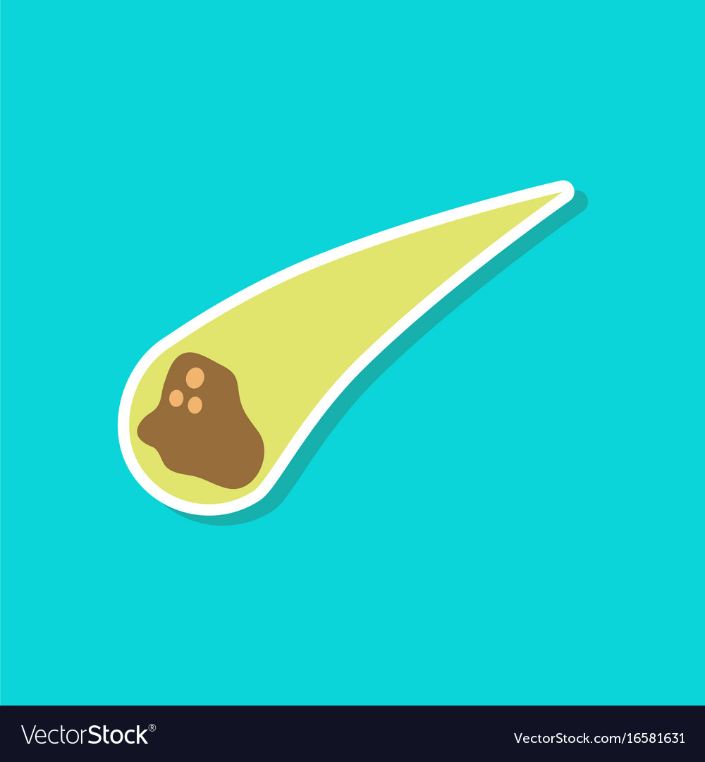 Paper Sticker On Stylish Background Nature Vector Image