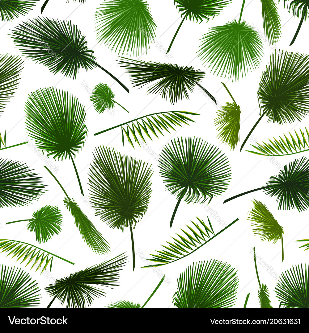 Seamless pattern of colorful palm leaf Royalty Free Vector