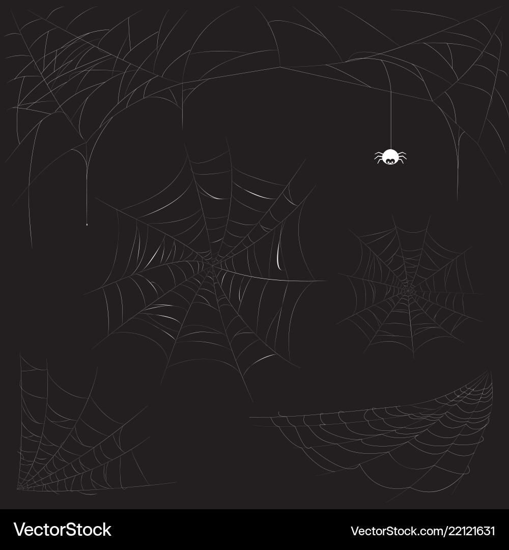 Set of cobweb isolated on dark background Vector Image