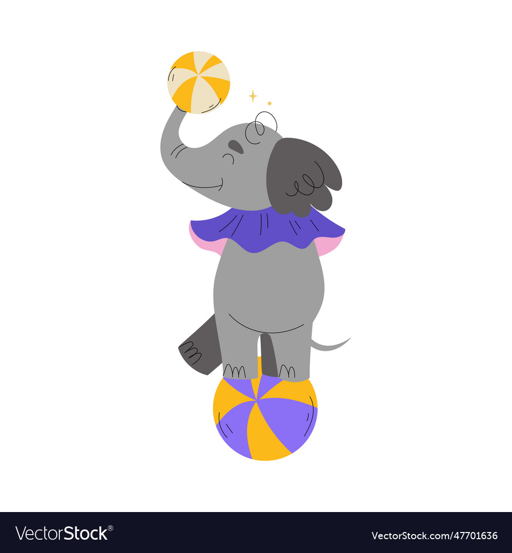 Circus elephant animal balancing on ball Vector Image
