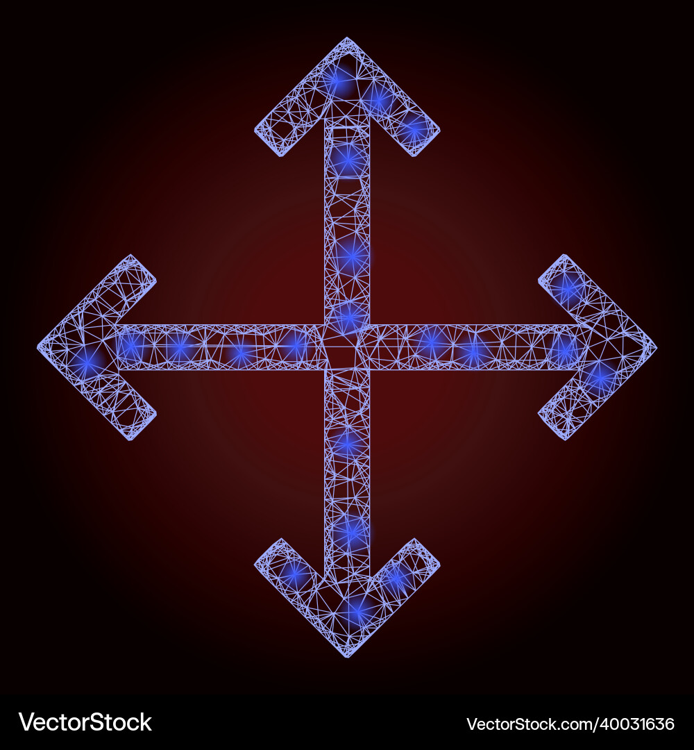 Glossy net mesh enlarge arrows with lightspots Vector Image