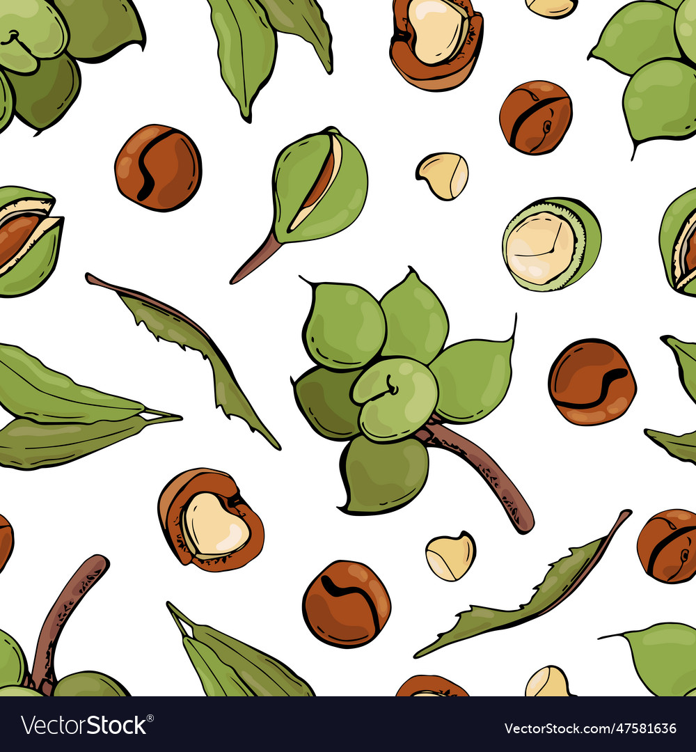 Seamless pattern with macadamia nuts Royalty Free Vector