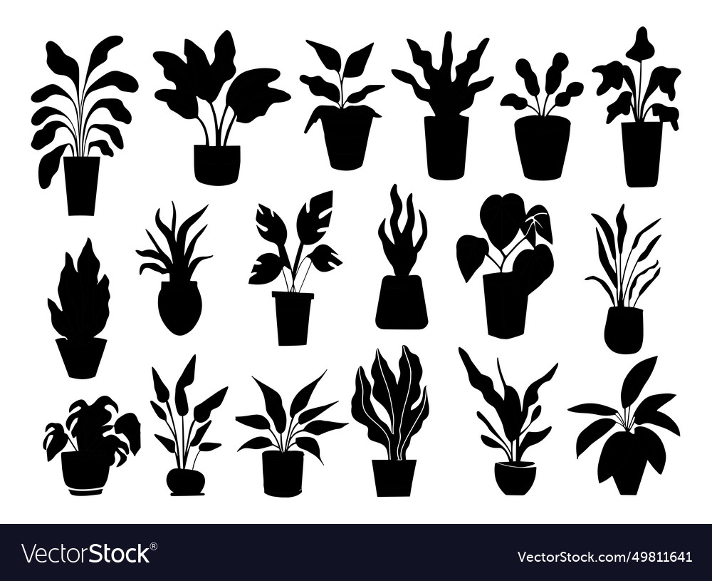 Silhouettes of different house plants in pot set Vector Image