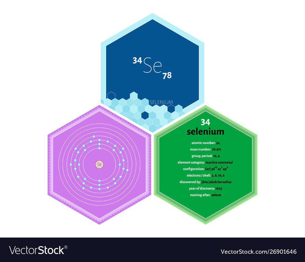 Infographics element selenium Royalty Free Vector Image