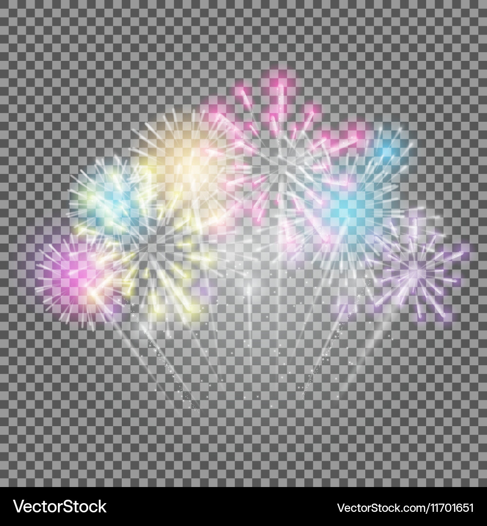 Fireworks salute on a transparent background Vector Image