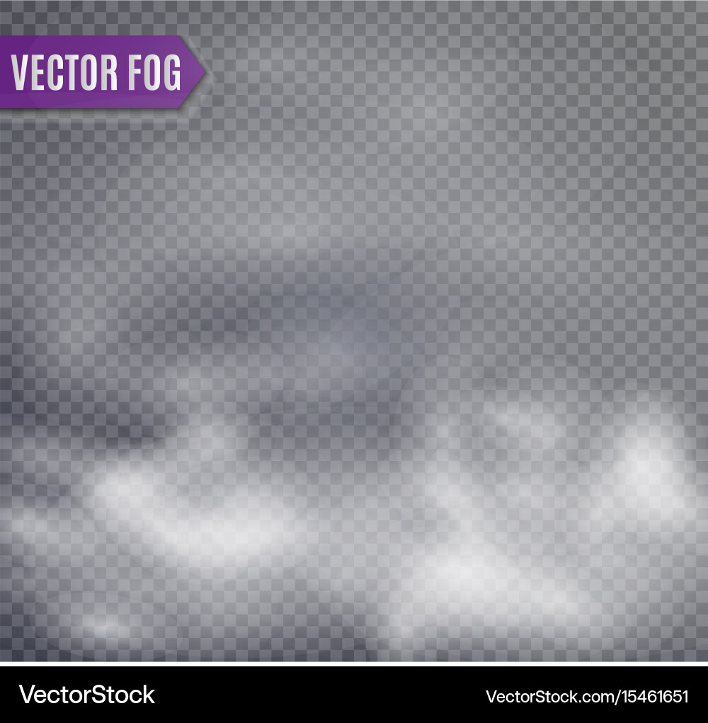 Fog or smoke isolated transparent special effect Vector Image