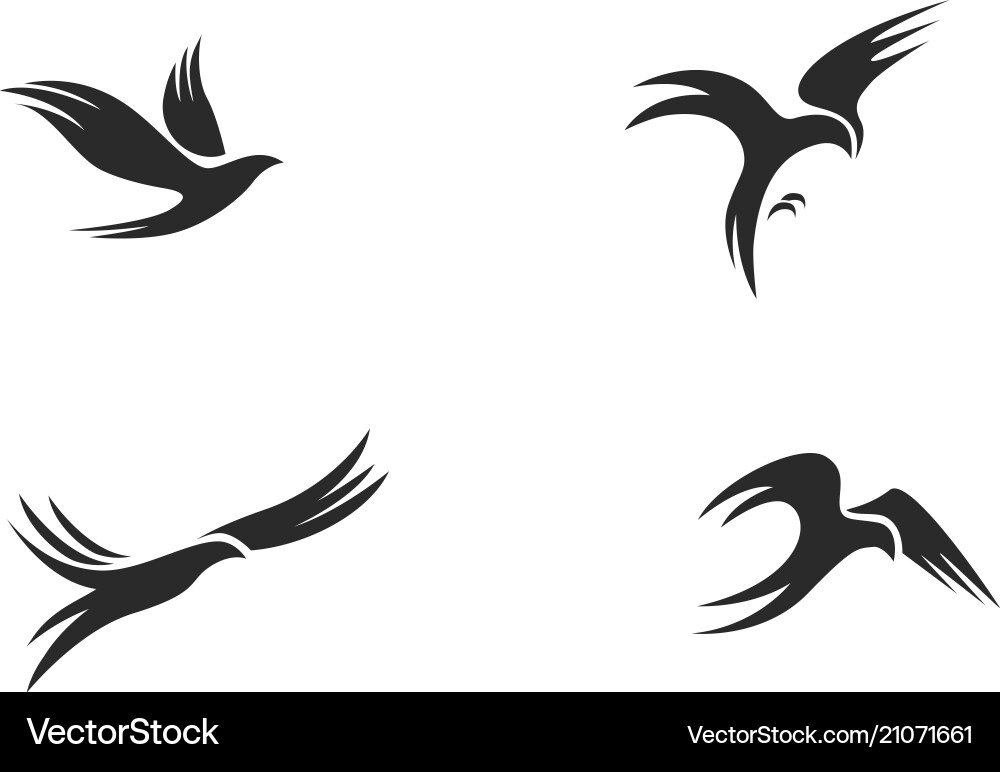 Bird logo template Royalty Free Vector Image - VectorStock