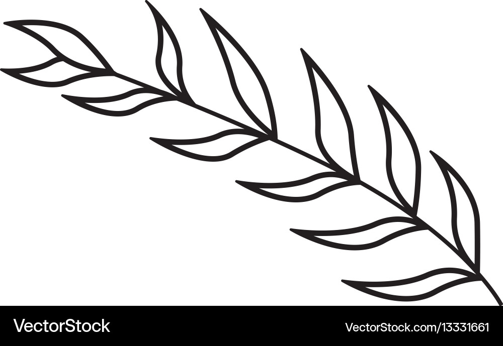 Monochrome contour oval leaves Royalty Free Vector Image