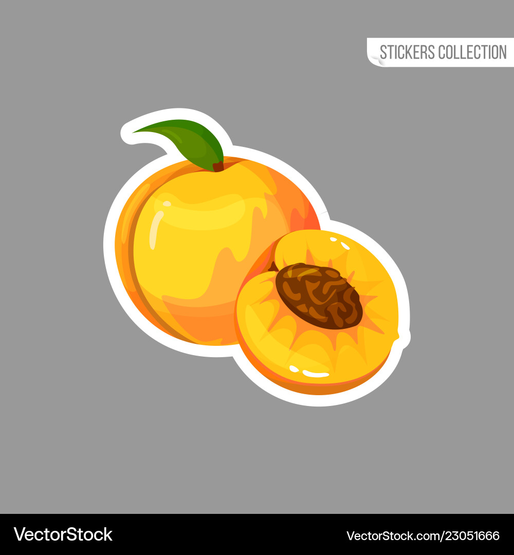 Cartoon fresh peach isolated sticker Royalty Free Vector