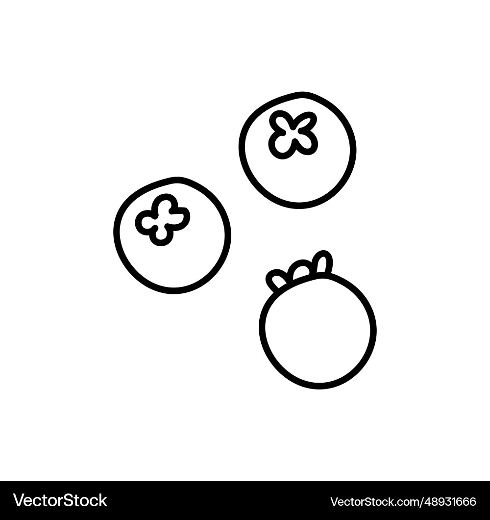 Hand drawn line blueberry fruit berries outline Vector Image
