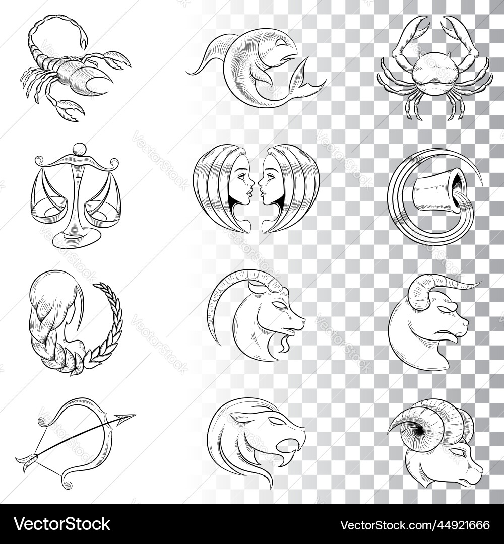 Hand drawn zodiac signs sketches Royalty Free Vector Image
