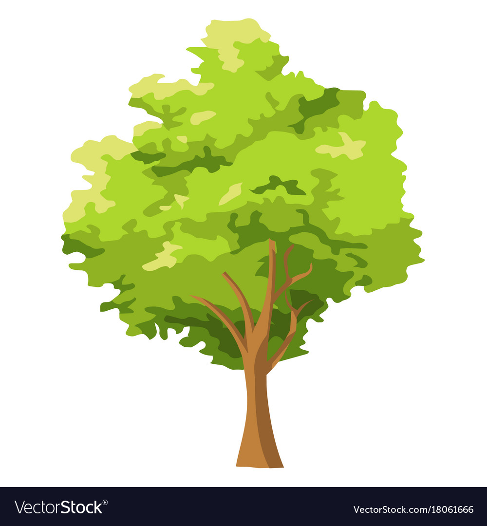 Tree isolated Royalty Free Vector Image - VectorStock