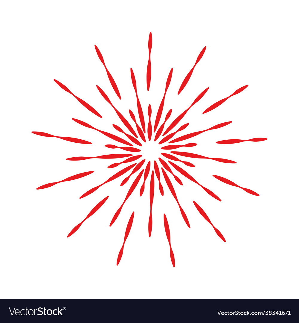 Burst firework Royalty Free Vector Image - VectorStock