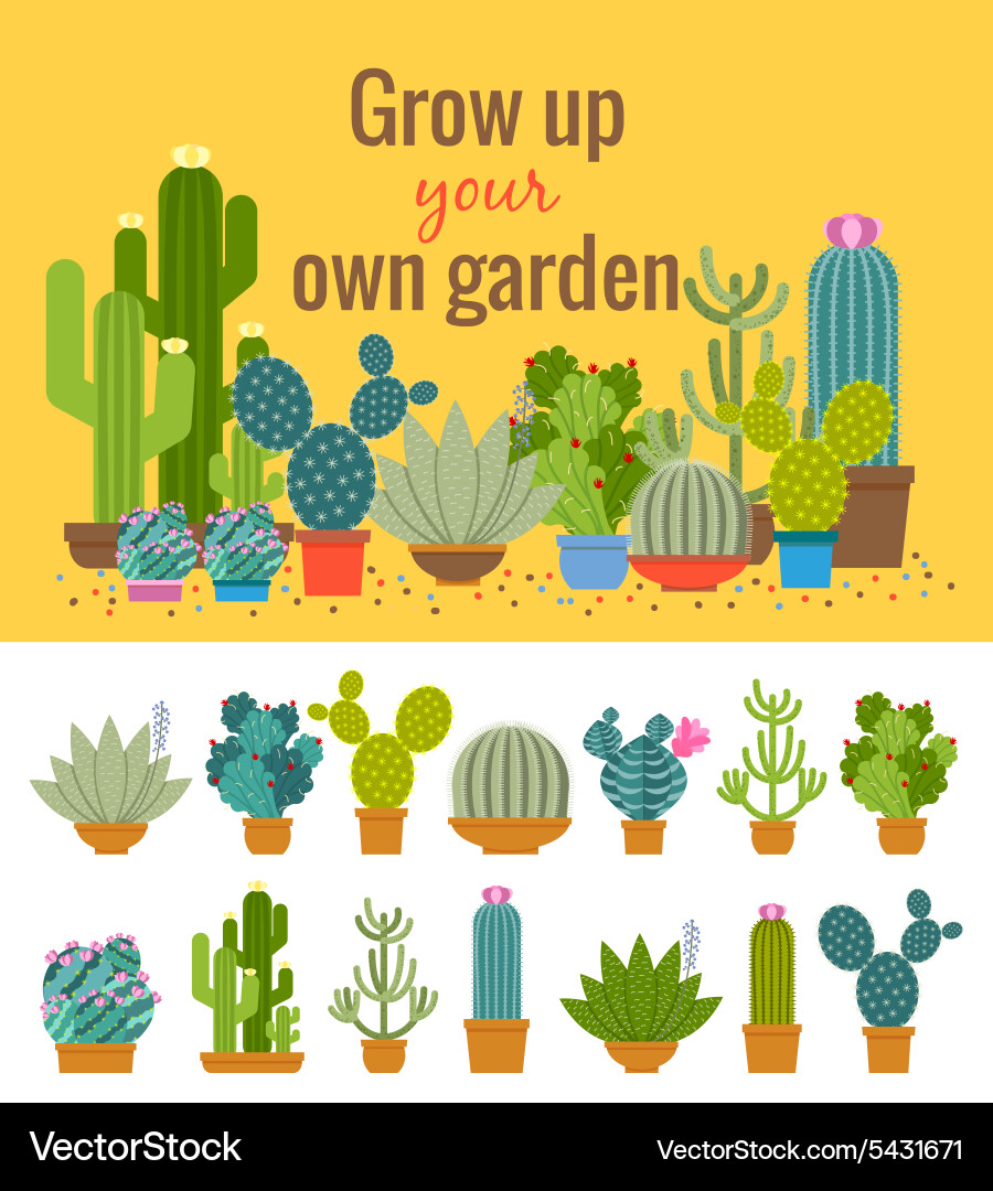 Home cactus garden poster Royalty Free Vector Image