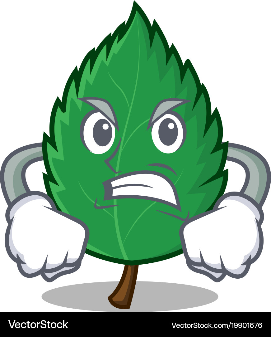 Angry mint leaves mascot cartoon Royalty Free Vector Image