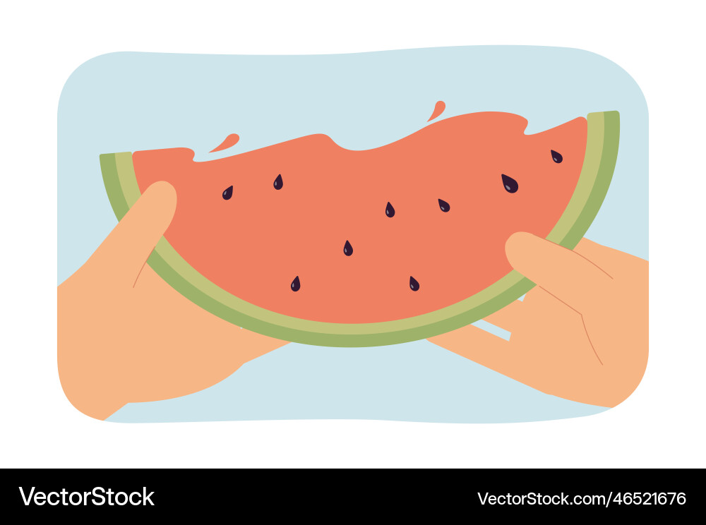 Hands holding piece of watermelon flat Royalty Free Vector