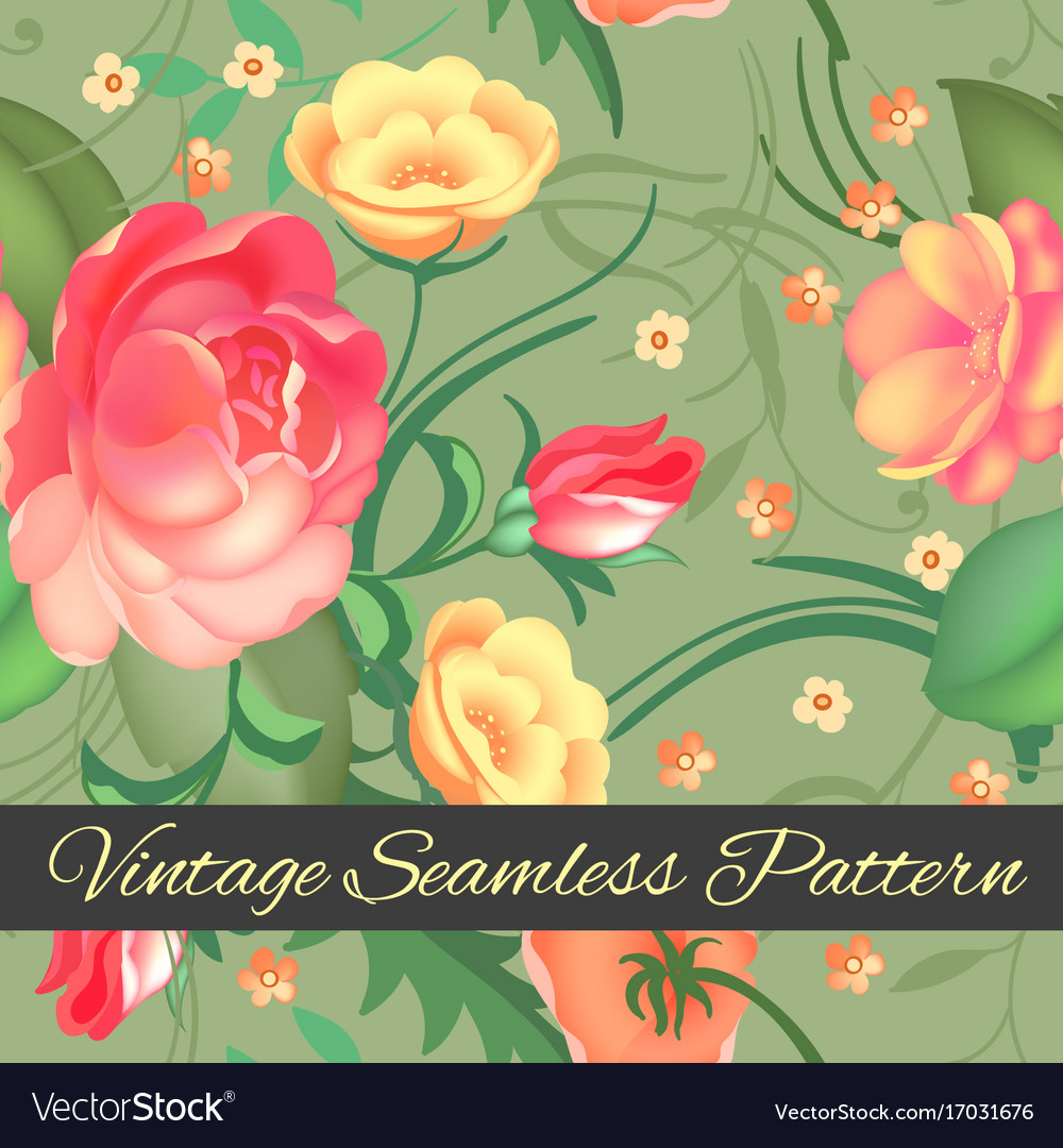 Seamless pattern roses beautiful Royalty Free Vector Image