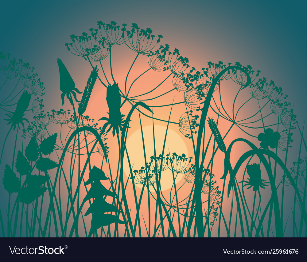 Sunset Royalty Free Vector Image - VectorStock