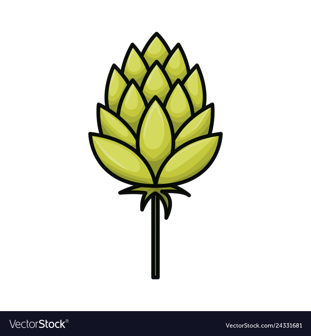 Beautiful pinecone isolated icon Royalty Free Vector Image